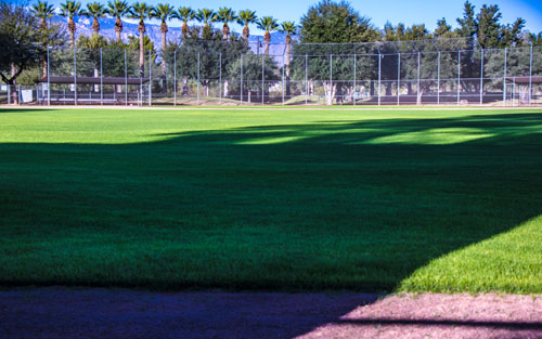 Professional Baseball Tryout Camps